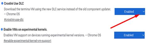 Fix Chromebook Error Installing Linux Beta Technipages