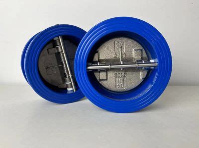 OEM ODM PTFE Coaed Disc CF8 CF8m SS304 SS316 Wcb Bronze API ANSI DIN