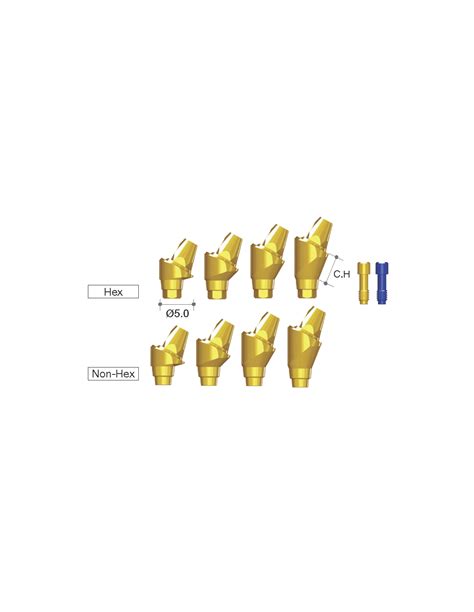 Multi Unit Abutment Angled 30 Anyridge System