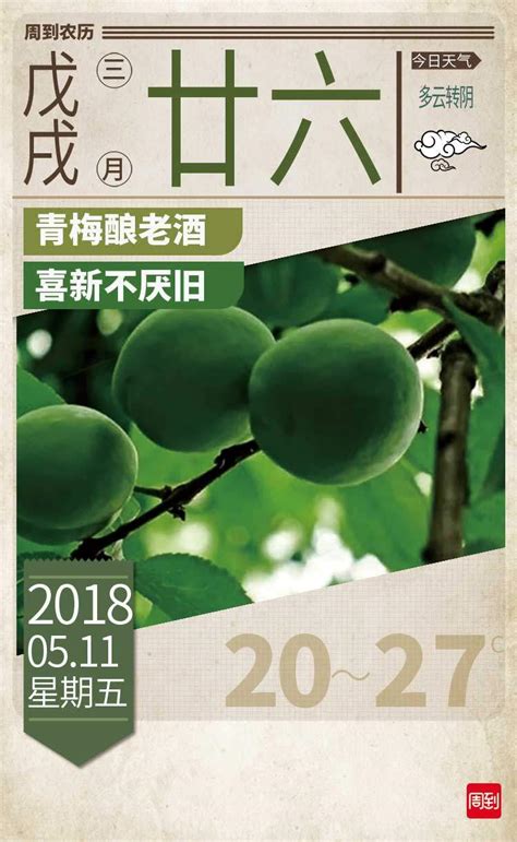 农历中国 三月廿六 · 青梅煮酒 周到上海