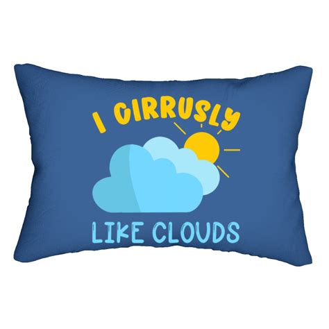 Meteorology Meteorologist I Cirrusly Like Clouds Weatherman Lumbar