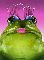 01 Grenouilles Animaux Humour Fun