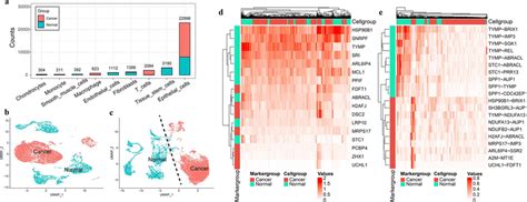 The Ibta Results Of The Tnbc Dataset A The Proportion Of Groups In