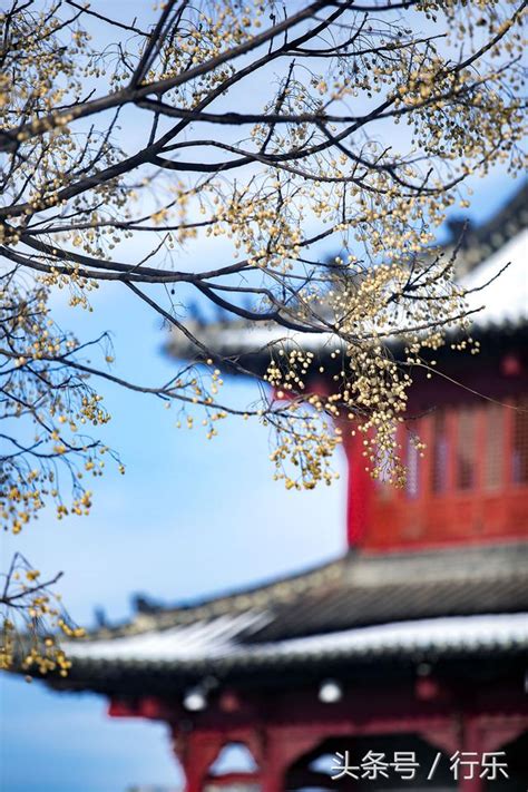 一場大雪，讓襄陽城變回了千年前的樣子！ 每日頭條