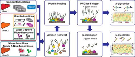 Formalin Fixed Tissue Storage