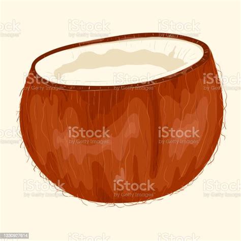 분할 코코넛 반의 벡터 사실적인 그림 상쾌한 음료를 위해 코코넛 워터 또는 우유를 곁들인 열대 과일 이나 견과류 갈색에 대한 스톡 벡터 아트 및 기타 이미지 Istock
