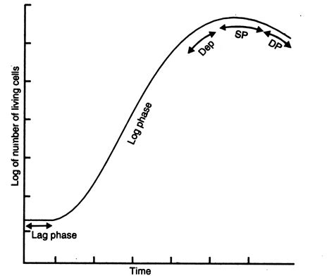 Plant Cell Suspension Culture Growth Curve Biotechnological