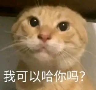 耄耋表情包大全 圆头耄耋表情包动图合集 0714资源网 新闻资讯
