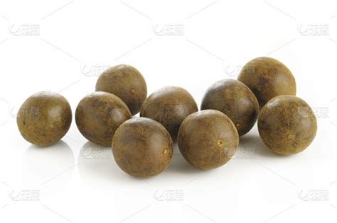 中医美水平画幅水果无人成分罗汉果健康保健替代医药草药