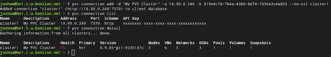 Parallel Virtual Cluster Documentation