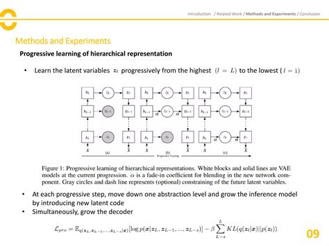 progressive learning and disentanglement of hierarchical