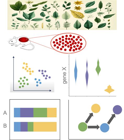 Orienting On Scrna Seq