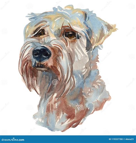 Мягк покрытая Wheaten рука акварели терьера покрасила порт собаки