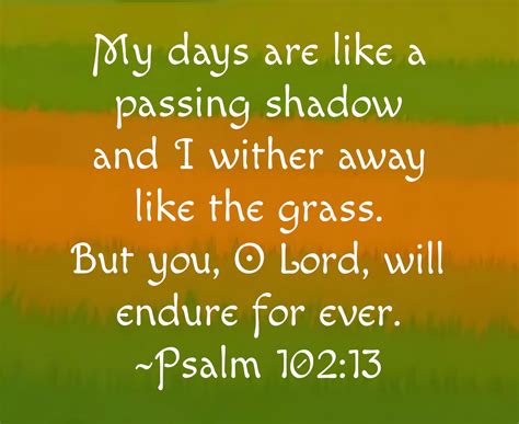 Never Give Up A Passing Shadow