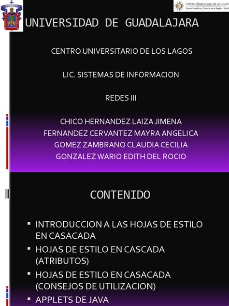 Hojas De Estilo En Cascada Css Diseño Web Pdf