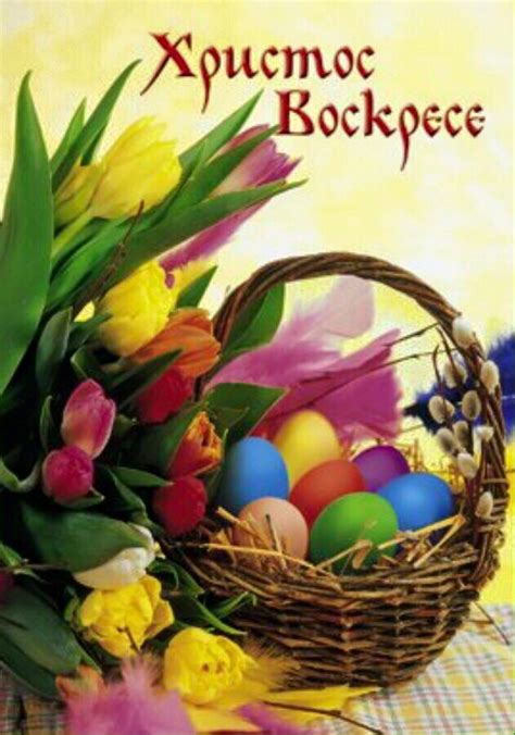 Спо Спортен клуб по художествена гимнастика Вип Раднево