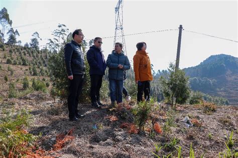 世界自然基金会（wwf）到安溪丰田国有林场开展调研活动图片新闻林业动态泉州市林业局