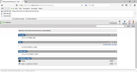 Pulse Secure Access Client Lanetapartner