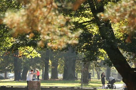 Uživaćemo U Sunčanom Danu Temperatura Sutra Do 19 Stepeni Bl Portal