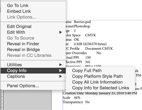 Solved Re How To Retrieve Dimensions Of Resized Image Adobe Product Community 8738903