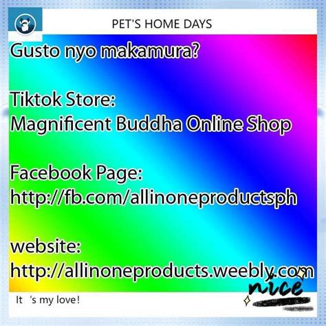 Abc And Cattitude Bentonite Cat Litter Sand 10l 00f Shopee Philippines