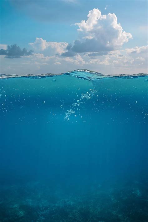 Travel Quote I Want To Swim In Every Sea Video In 2021 Sea Waves Ocean Photography Underwater Sea