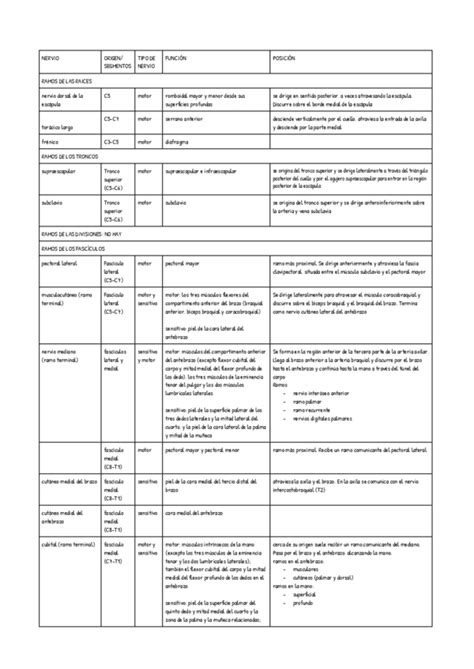 Plexo Cervicaldocxpdf