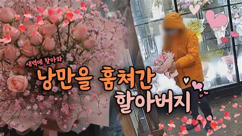 새벽에 찾아온 낭만도둑 ♥ Youtube