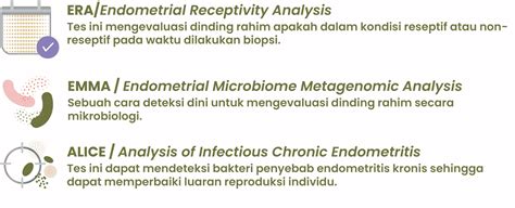 Endometrio Tes Komprehensif Endometrium Meningkatkan Keberhasilan Kehamilan Ivf
