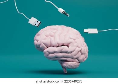 1 745 Usb Brain Images Stock Photos Vectors Shutterstock