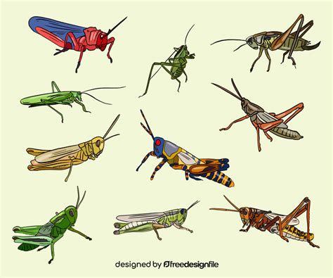 Grasshoppers Vector Free Download