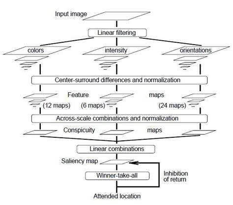 Koch And Itti Model Download Scientific Diagram