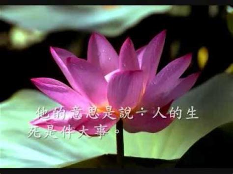 生死事大 無常迅速 觀成法師之廣結善緣3012 YouTube