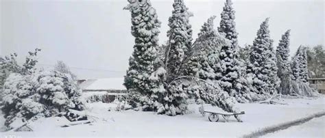 赤峰强降水预警，局地暴雪！天气核酸雨雪