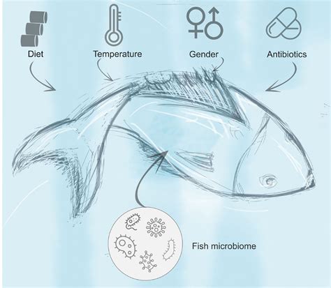 Gut Microbiota Reviews In Aquaculture