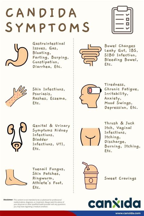 11 Signs You Have Candida Yeast Overgrowth And How To Fix It Artofit