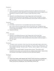 Lab Exercises Living Primates Docx Exercise Yes I Believe The Mystery Mammal A