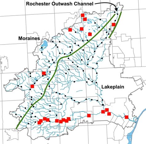 Yellow Perch Friends Of The Rouge