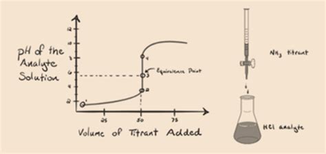 Equivalence Point | Definition, Summary, Examples & Facts