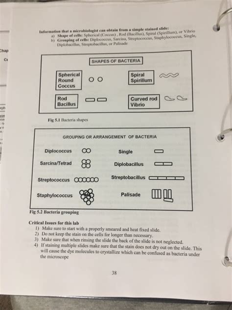 Solved MODULE S SIMPLE STAINING OBJECTIVES Be Familiar Or Be Chegg