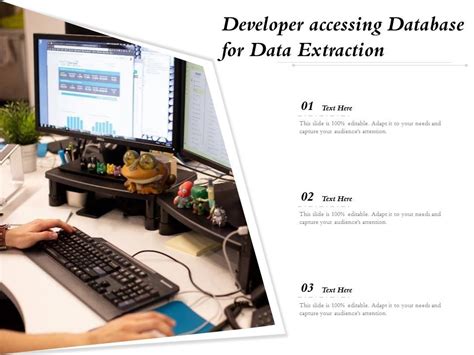 Developer Accessing Database For Data Extraction Powerpoint Slides Diagrams Themes For Ppt