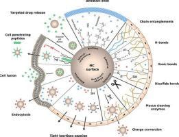 Advances In Colloid And Interface Science X Mol