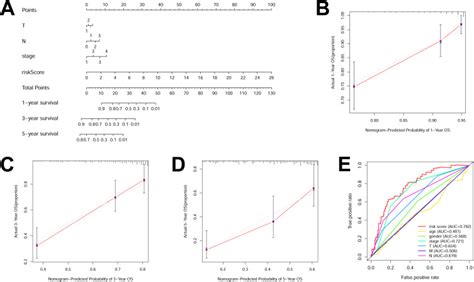 Development Of A Prognostic M6a Related Lncrna Signature And Functional Validation Of Fam83a As1