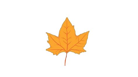 Premium Vector Leaf