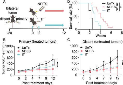 Bilateral Kpc Tumor Model For Assessing Abscopal Response A Kpc Tumor
