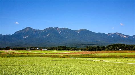 ふるさと納税 長野県川上村 楽天市場店