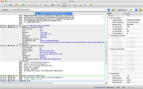 Websocket Terminal Io Ninja