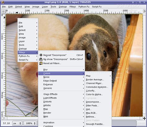 Learning GIMP Convert Color Images To Black And White Softpedia