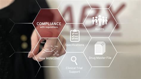 Regulatory Support Services