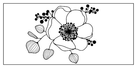 흰색 배경에 가지와 잎이 있는 꽃의 검은 손으로 그린 윤곽선입니다 채색을 위한 꽃 다양한 디자인과 패턴 만들기 꽃 나무에 대한 스톡 벡터 아트 및 기타 이미지 Istock